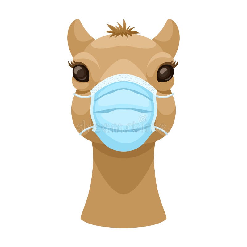 Camel in a Medical Mask Front View. Vector Illustration on the Theme of ...