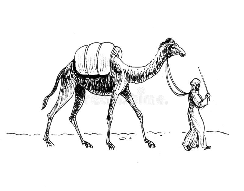 Camel Trader Stock Illustrations – 9 Camel Trader Stock Illustrations ...