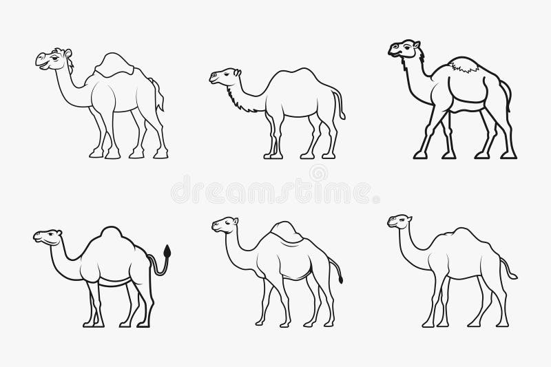Camel Outline Icon Bundle Set in Isolated Flat Line Art Vector ...