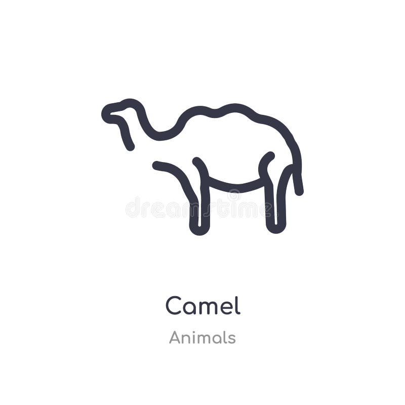 Camel Outline Icon. Isolated Line Vector Illustration from Animals ...