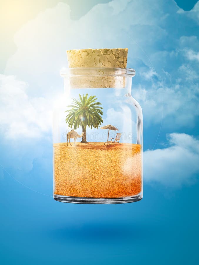 Camel and Palm Tree stock image. Image of tree, israel - 2339385