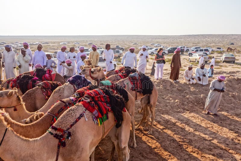Camel Race in Jaisalmer, Rajasthan Editorial Stock Image - Image of ...