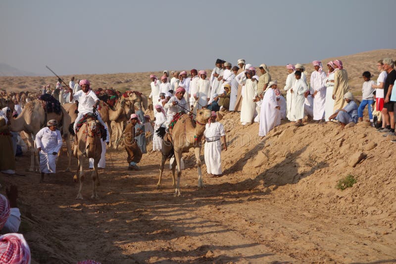 Camel Race in Jaisalmer, Rajasthan Editorial Stock Image - Image of ...