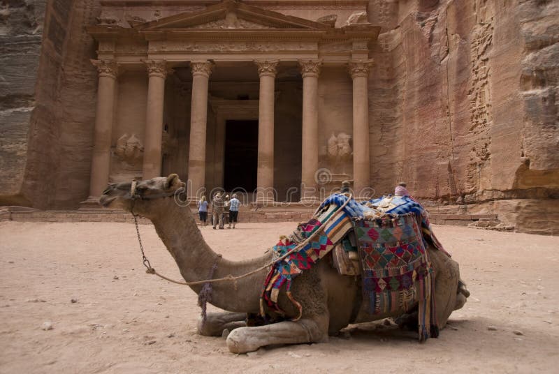 Camel Rest in Front of Al Khazneh Treasury Ruins, Petra, Jordan Stock ...