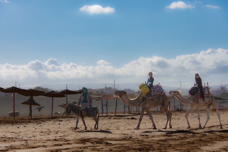 Camel ride on the beach editorial photo. Image of undefined - 353915076