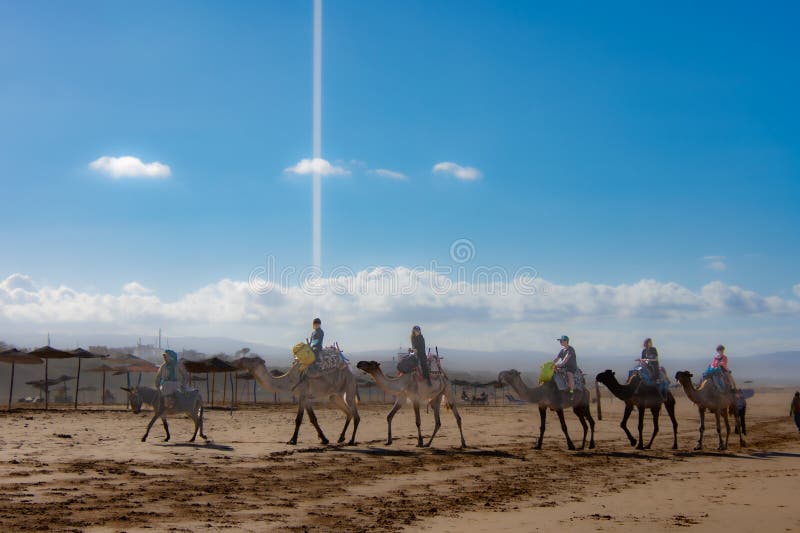 Camel ride on the beach editorial stock image. Image of water - 353915084