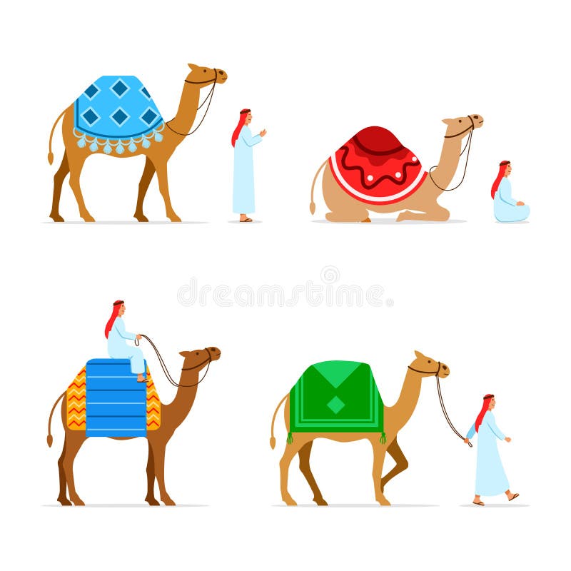 Camel Rider Flat Character Collection Set Stock Vector - Illustration ...