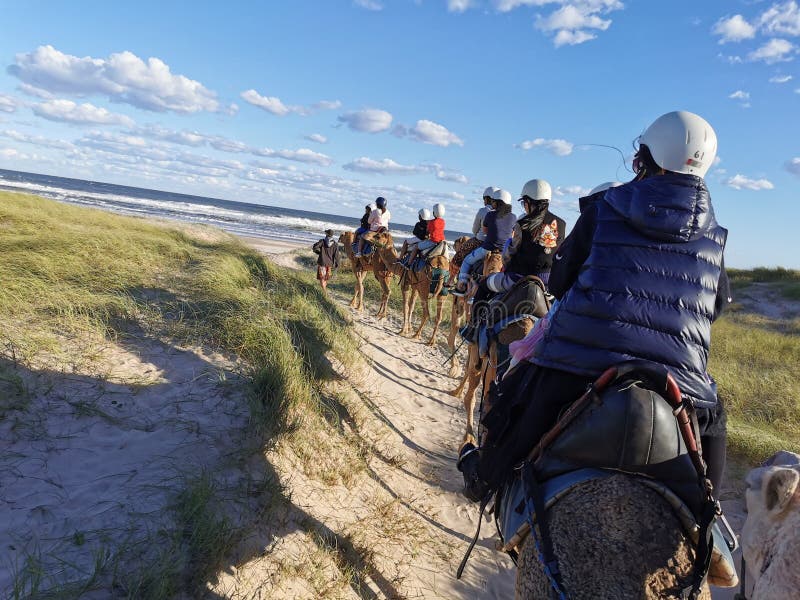 Camel Riding in Anna Bay @ Â Port Stephens, Australia Editorial Stock ...