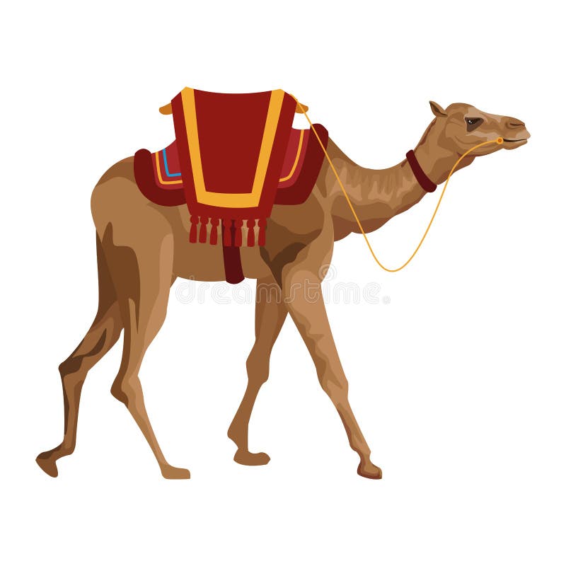 Camel with Saddlery Icon Cartoon Stock Vector - Illustration of desert ...