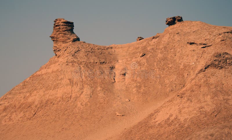 Camel in the sand desert stock photo. Image of adventure - 237399800