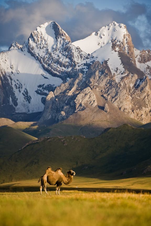 1,105 Sary Hott Stock Photos - Free & Royalty-Free Stock Photos from ...