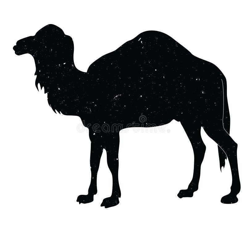 Camel Shadow Animal Icon Silhouettes Isolated on Dark Black Graphical ...