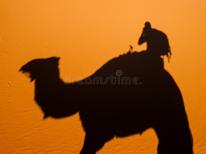 Camel Shadows stock image. Image of morocco, sunset, people - 29624621