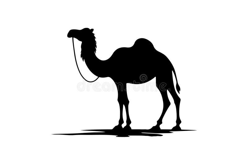 Vector Minimalist Camel Silhouette Clipart Illustration on a White ...