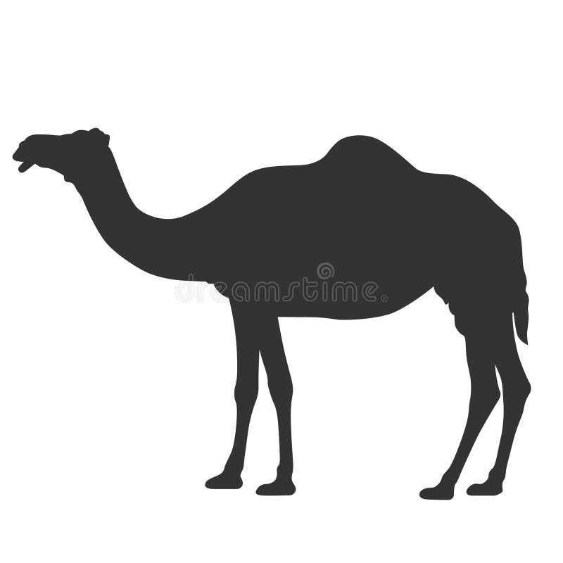 Camel Vector Eps Silhouette Hand Drawn Crafteroks Svg Free, Free Svg ...