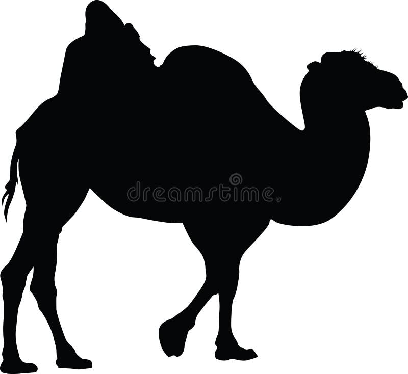 Camel Silhouette isolated stock vector. Illustration of silhouette ...