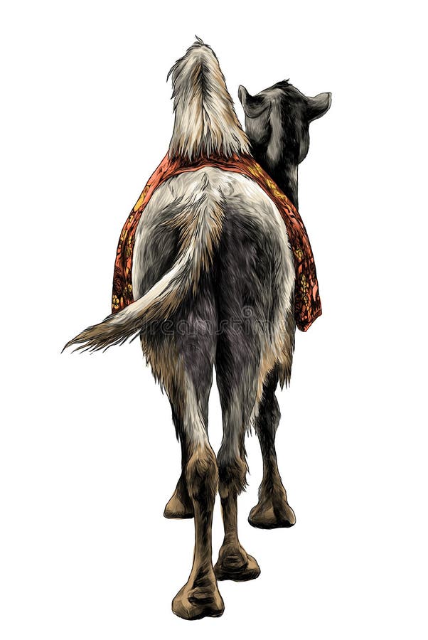 Zoo Animal Back View Stock Illustrations – 407 Zoo Animal Back View ...