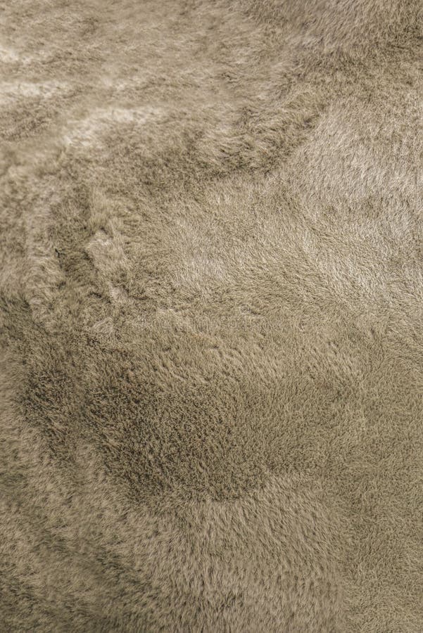 164 Camel Fur Texture Photos - Free & Royalty-Free Stock Photos from ...