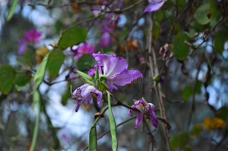 129 Camel Toe Babysitter Stock Photos - Free & Royalty-Free Stock ...