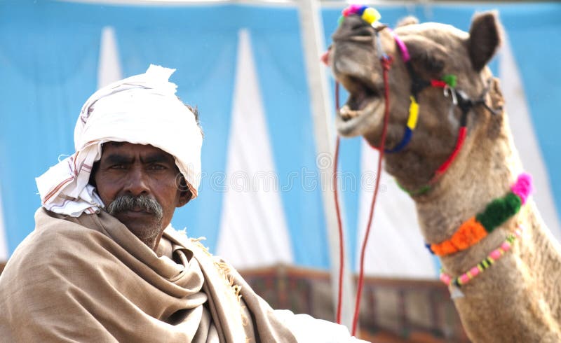 The Camel Trader with His Camels Editorial Stock Photo - Image of ...