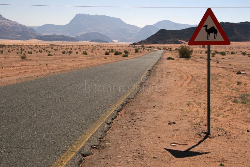 Camel Traffic Sign stock photo. Image of camel, desert - 14599146