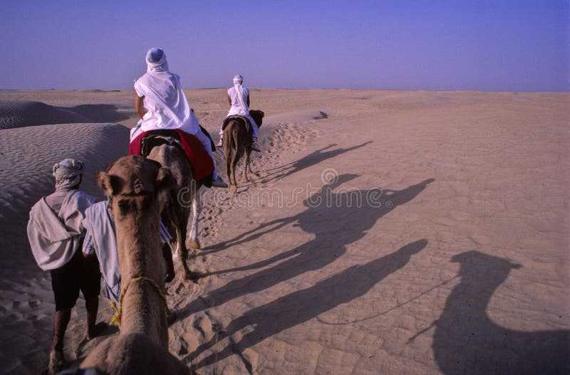 Camel train in desert stock image. Image of orient, camels - 16464307