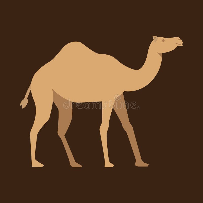 Camel Vector Graphic Element Design Stock Illustration - Illustration ...