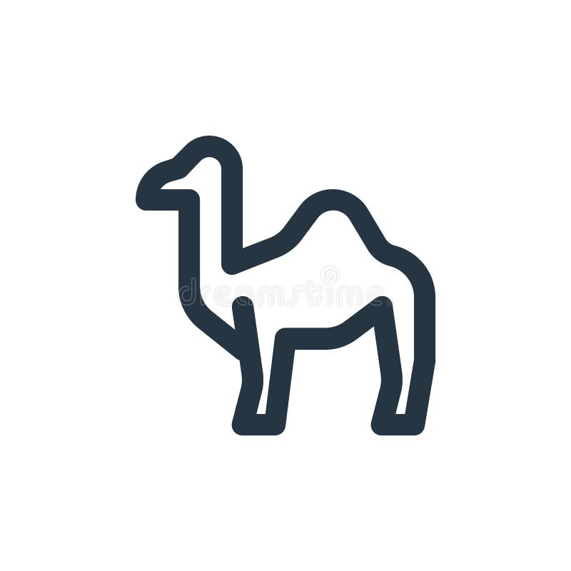 Camel Vector Icon. Camel Editable Stroke. Camel Linear Symbol for Use ...
