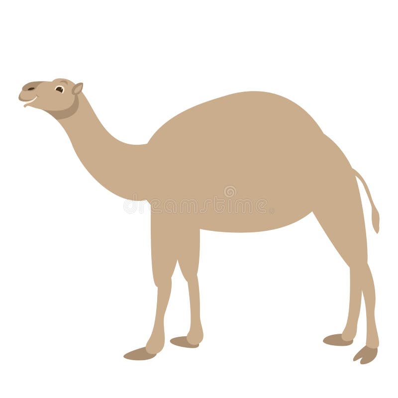 Camel Vector Illustration, Flat Style ,profile Stock Vector ...