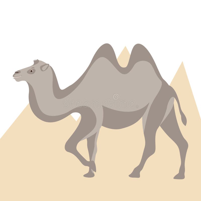 Camel Side View Cartoon Stock Illustrations – 135 Camel Side View ...