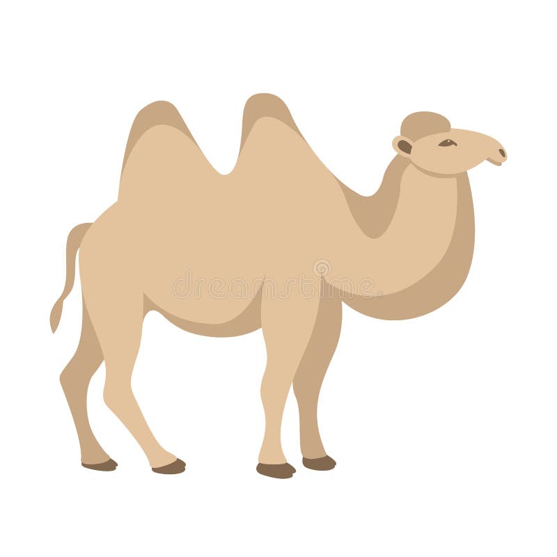 Camel Vector Illustration Style Flat Stock Vector - Illustration of ... Camel Vector Illustration Style Flat Stock Vector - Illustration of ...