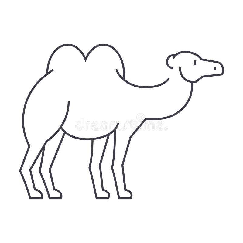 Camel Line Icon Concept. Camel Flat Vector Symbol, Sign, Outline ...