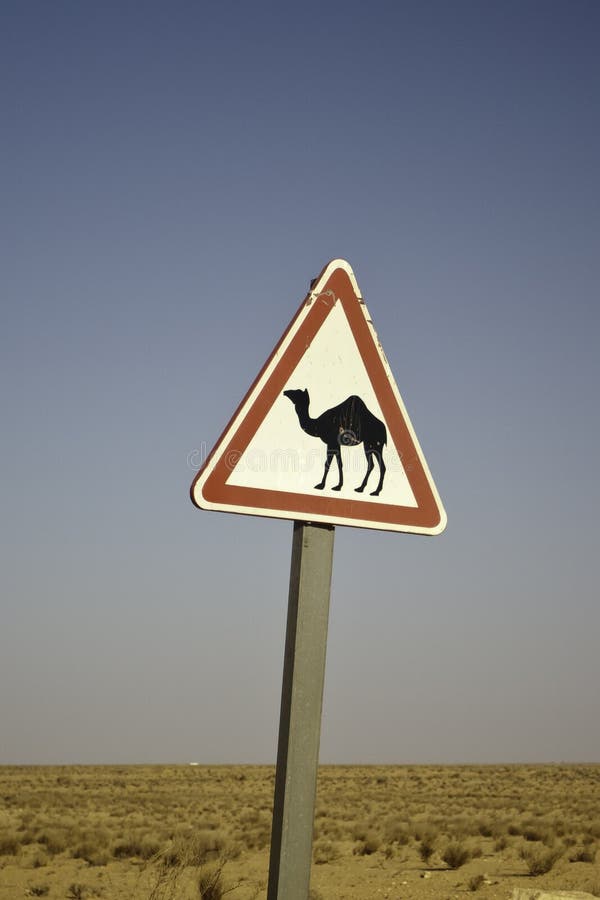 Road Sign in the Namib Desert Stock Photo - Image of sign, arid: 14240534