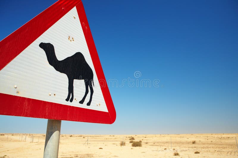 Camel warning sign stock photo. Image of crossing, sunny - 5283628