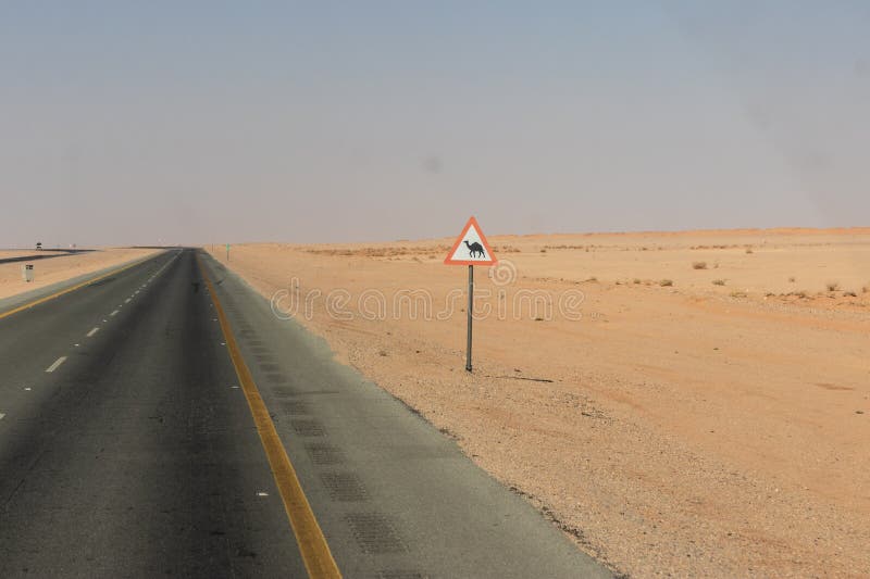 Camel Warning Sign on a Highway in Saudi Arab Stock Photo - Image of ...