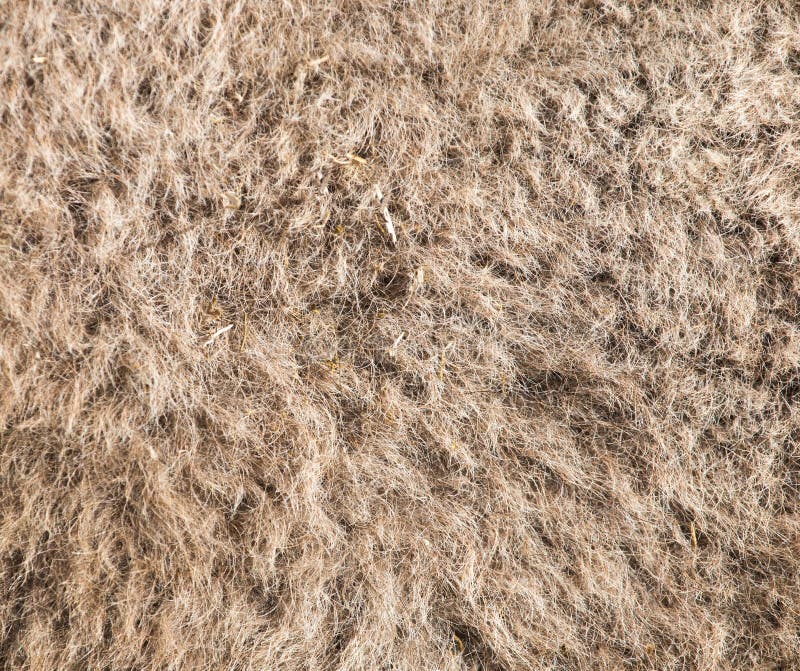 Camel wool as background stock photo. Image of wool - 111420540