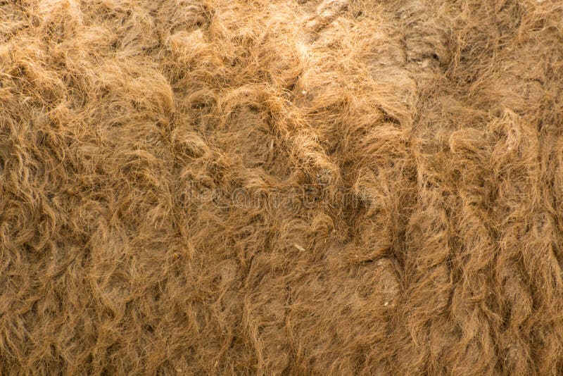Camel wool stock image. Image of brown, wool, carpet - 55088715