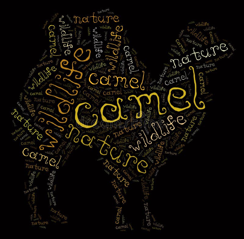 Camel of words stock illustration. Illustration of adventure - 19621903