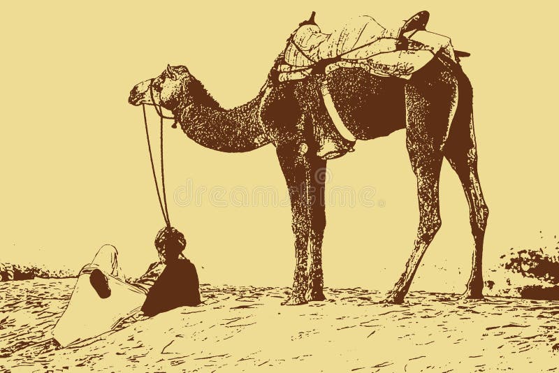 Camel Vector stock image. Image of palaces, international - 162741885