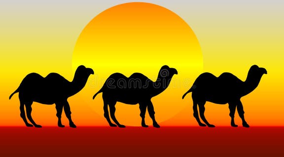 Three Camels Stock Illustrations – 1,572 Three Camels Stock ...