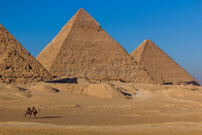 Camels in Front of the Great Pyramids of Giza, Egy Stock Image - Image ...