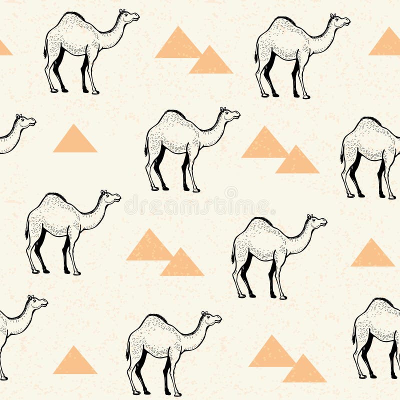 Camels seamless pattern stock vector. Illustration of textile - 114028907