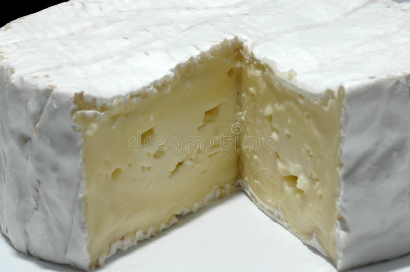 Camembert stock photo. Image of ripe, camenbert, cheese - 9094224