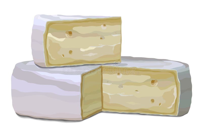 Camembert Cheese Block And Triangle Drawing. Vector Hand Drawn Food ...