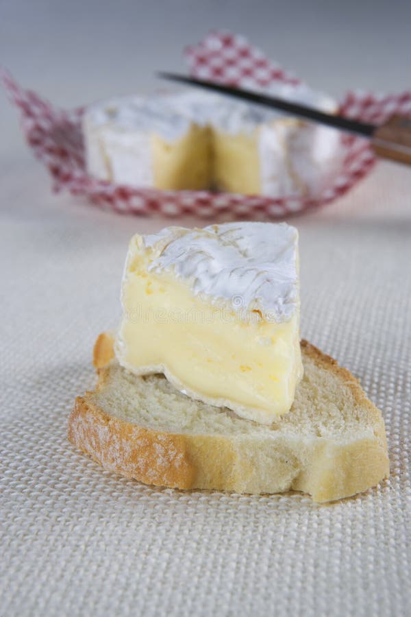 Camenbert stock photo. Image of organic, france, white - 25389066