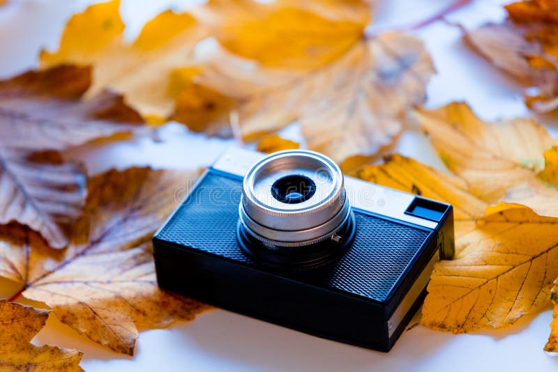 Camera with Autumn Maple Leaves Stock Image - Image of beautiful ...