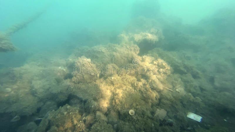 Camera Descends Under the Murky Water and Opens Up a View of Something ...