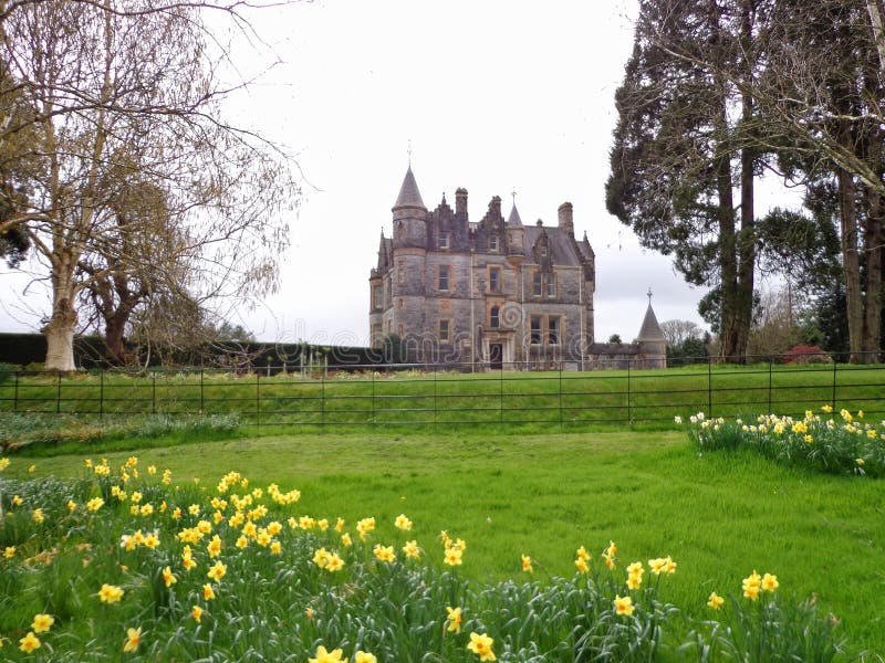 Camera di lusinga fotografia stock. Immagine di verde - 85362814