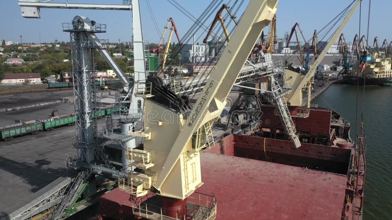 Loading of Grain by a Loader. Harvest Season, Work in the Field Stock ...