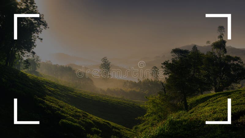 Border Plantation Icon Stock Photos - Free & Royalty-Free Stock Photos ...